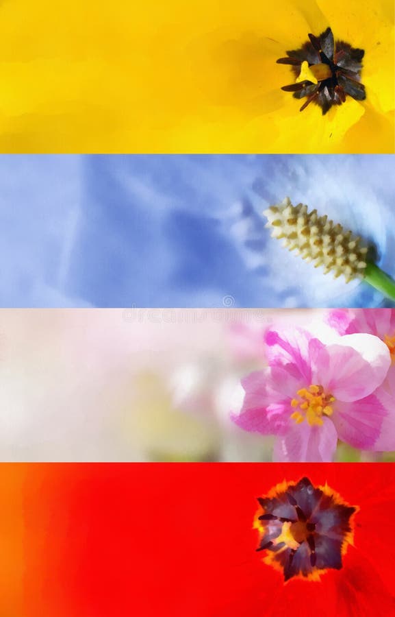 Hand Painted Flower Banners Stock Image - Image of painting, canvas ...