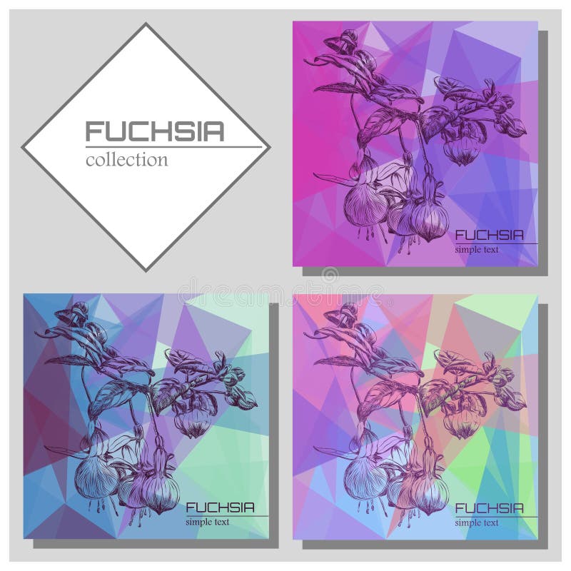 Hand Painted Fuchsia - Card Collection on the Abstract Background ...
