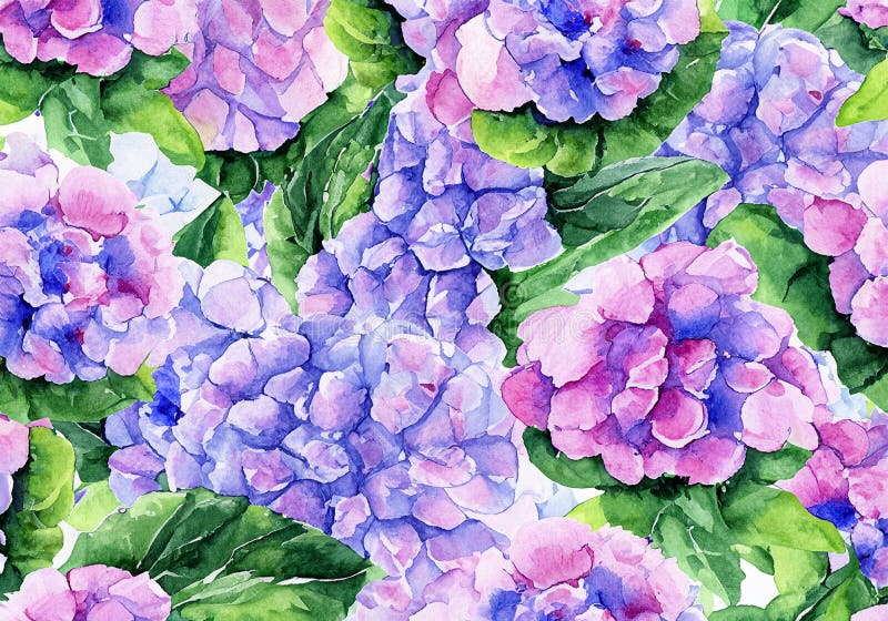 Hand Painted Hydrangea Plant Stock Illustration - Illustration of ...