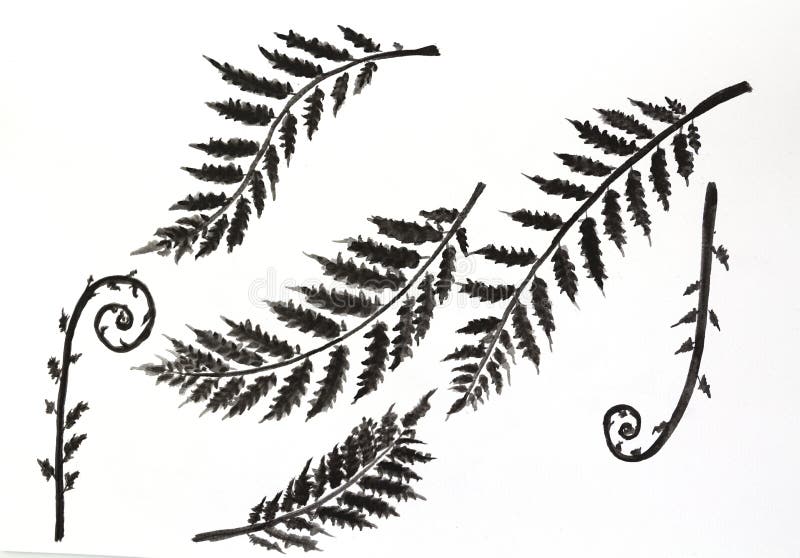 Hand-painted Poster Back Ink with Brush . Fern Leaf Background Stock ...