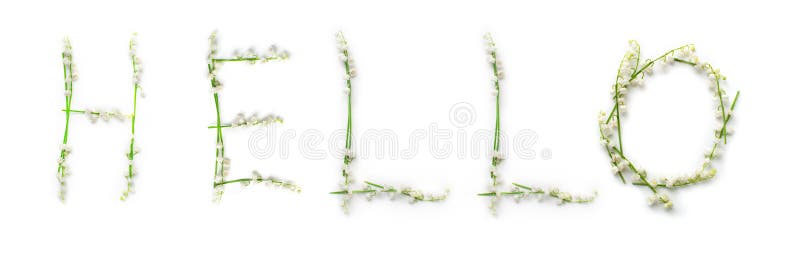 Hand Painted Poster with Flowers and Lettering. Word Hello Stock Image ...