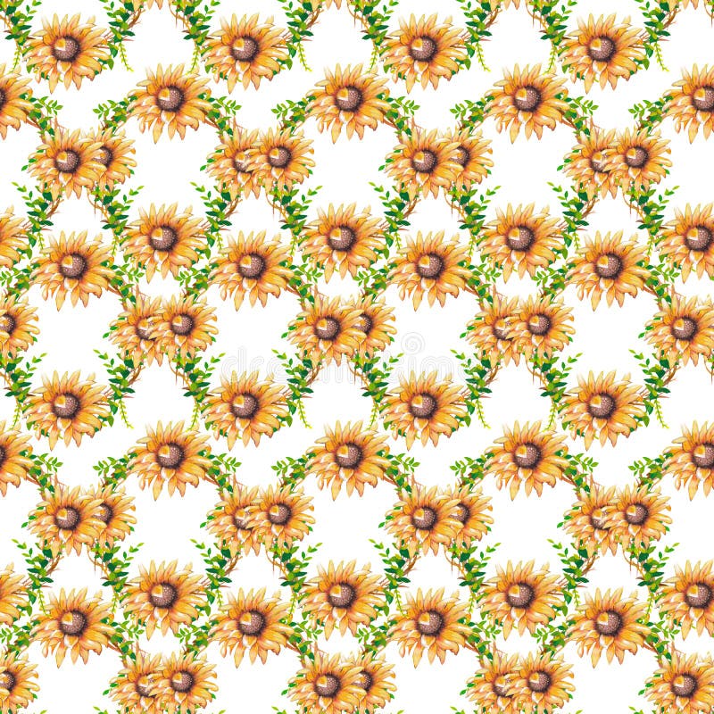 Hand Painted Sunflower Seamless Pattern Stock Illustration ...