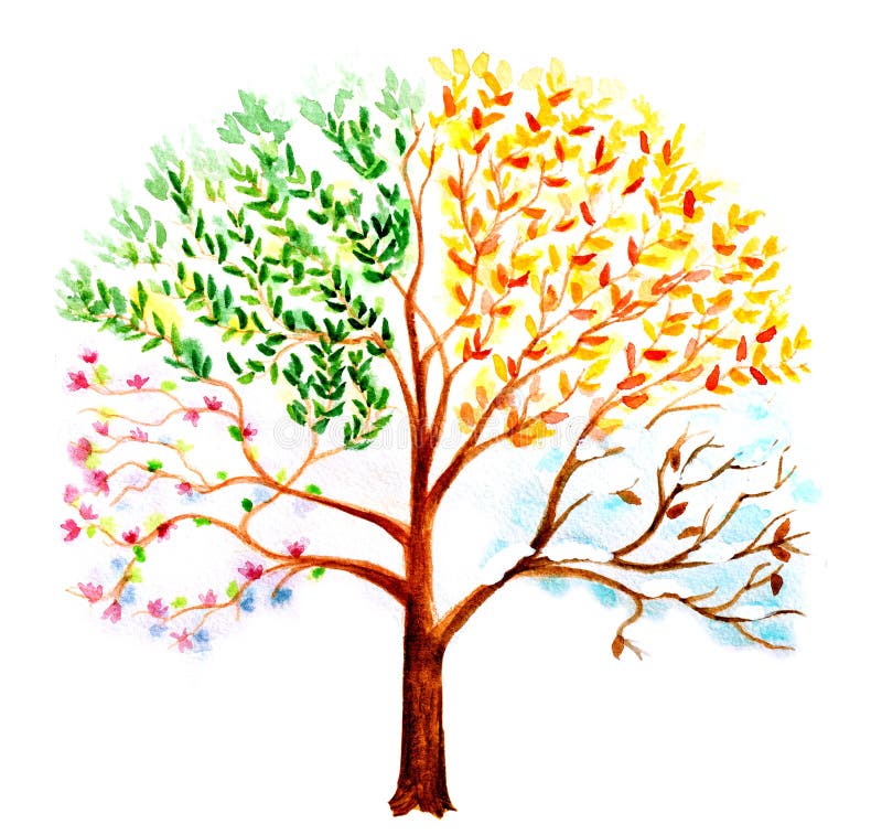 Hand painted tree stock illustration. Illustration of autumn - 76875496