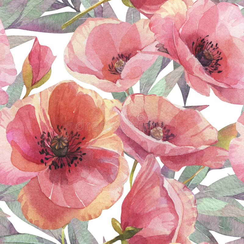 Seamless Pattern With Poppies Watercolor Illustration Flower