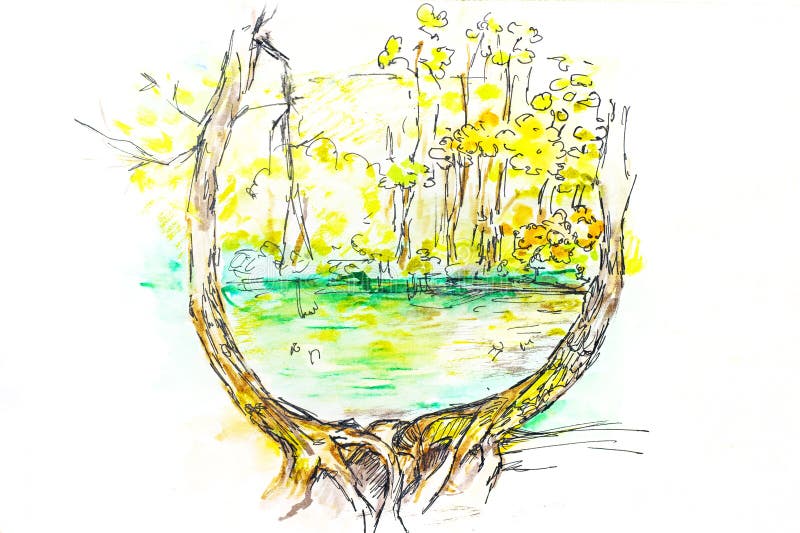 Painted Watercolor Illustration of Intertwined Roots of Two Trees Stock ...
