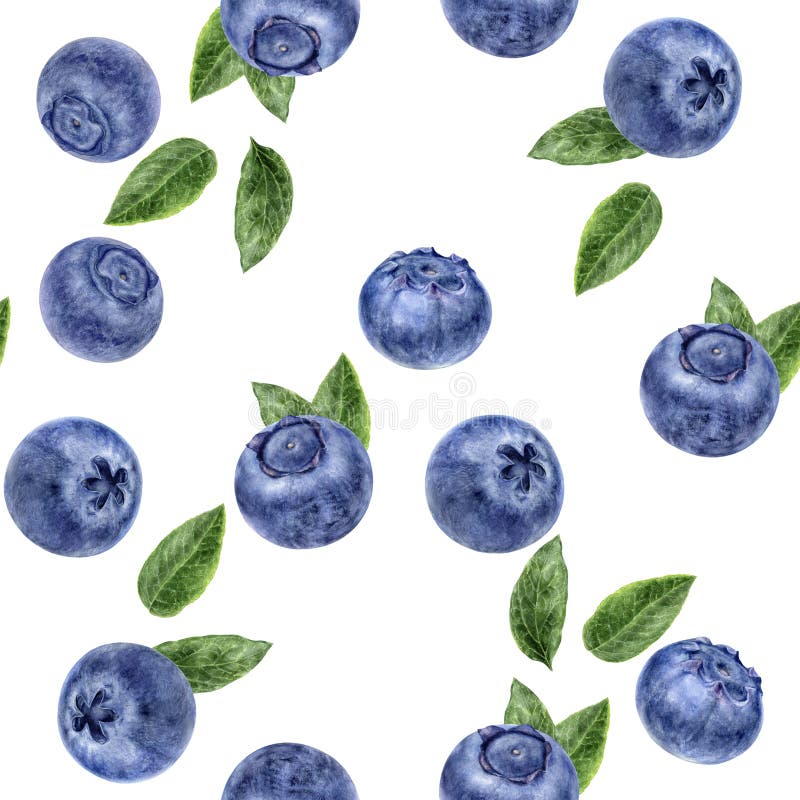 Hand-Painted Watercolor Seamless Blueberry Pattern Stock Image - Image ...