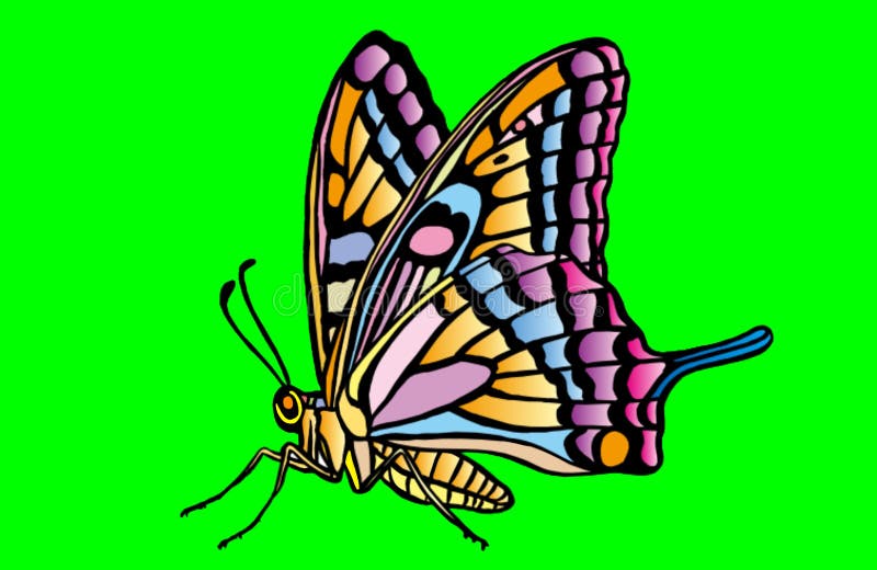 Hand Painting. Multi-colored Butterfly, on a Green Background Stock ...