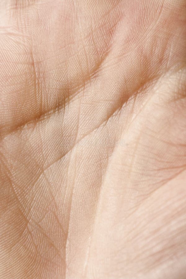 Hand, Palm Detail stock photo. Image of woman, abstract - 17990854