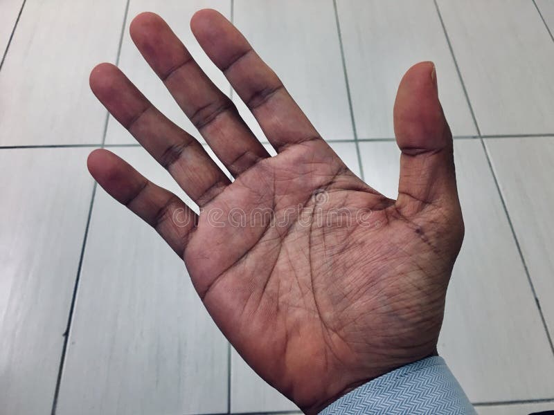 Hand palm stock photo. Image of beautiful, palm, hand - 161426946