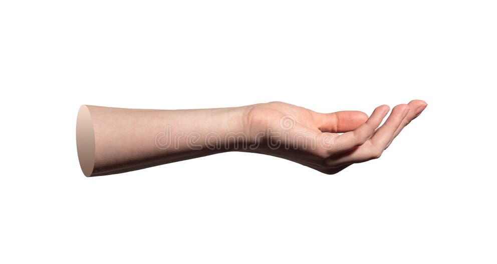 Hand Palm Open and Cupped. Gesture Showing Empty Pose for Holding or ...