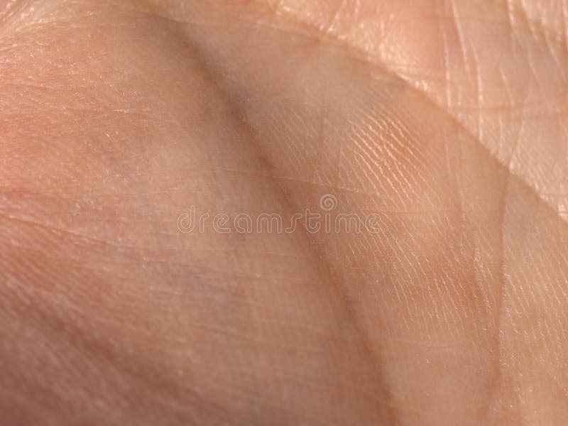 1,167 Human Skin Palm Texture Stock Photos - Free & Royalty-Free Stock ...