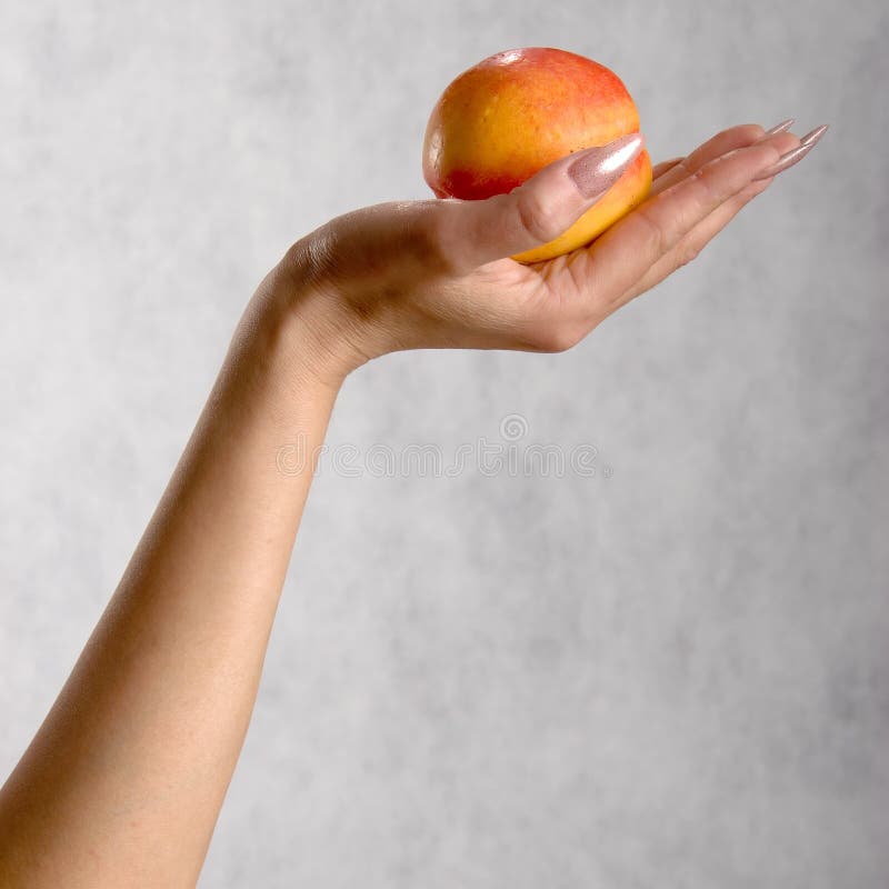 Hand with a peach stock image. Image of fingers, fruit - 1470825