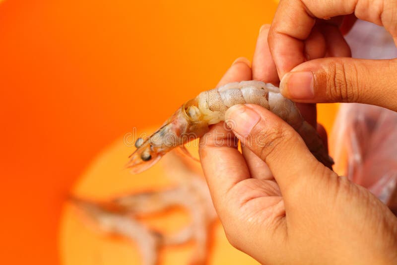 Hand Peeled Shrimp Dishes are Orange. Stock Photo - Image of dishes ...