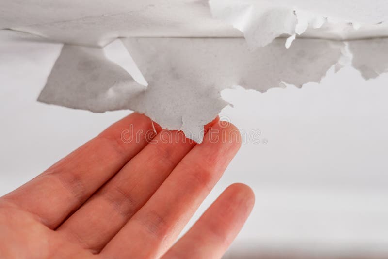 Hand Peeling Paint on Bathroom Ceiling Rotting Due To Water Leakage ... Hand Peeling Paint on Bathroom Ceiling Rotting Due To Water Leakage ...