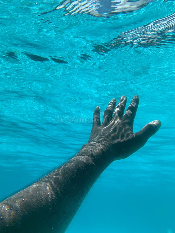Hand of a Person Underwater in the Swimming Pool Stock Photo - Image of ...