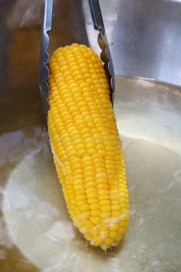 Hand pick up corn boil stock photo. Image of nutrition - 26619090