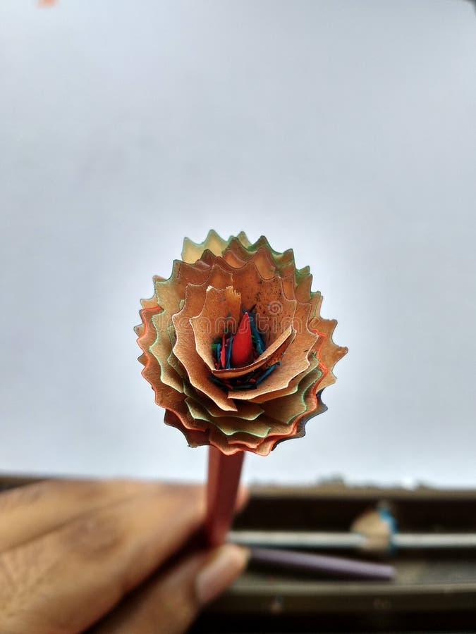 Hand Picked Flower from Waste of Colour Pencils Stock Image - Image of ...