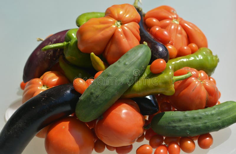 Hand-picked Vegetables in Ecological Fields Stock Photo - Image of ...