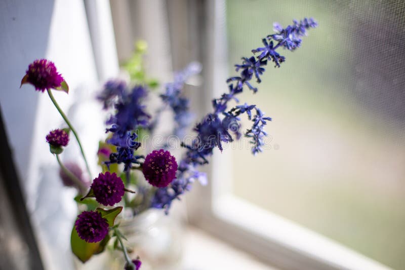 Hand Picked Wild Flowers in a Jar by the Window Stock Photo - Image of ...