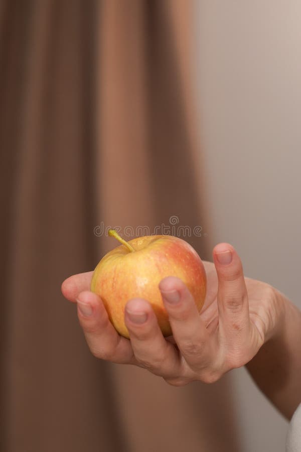 Hand Picking a Fresh Apple. Female Hand Holding Fresh Ripe Apple Stock ...