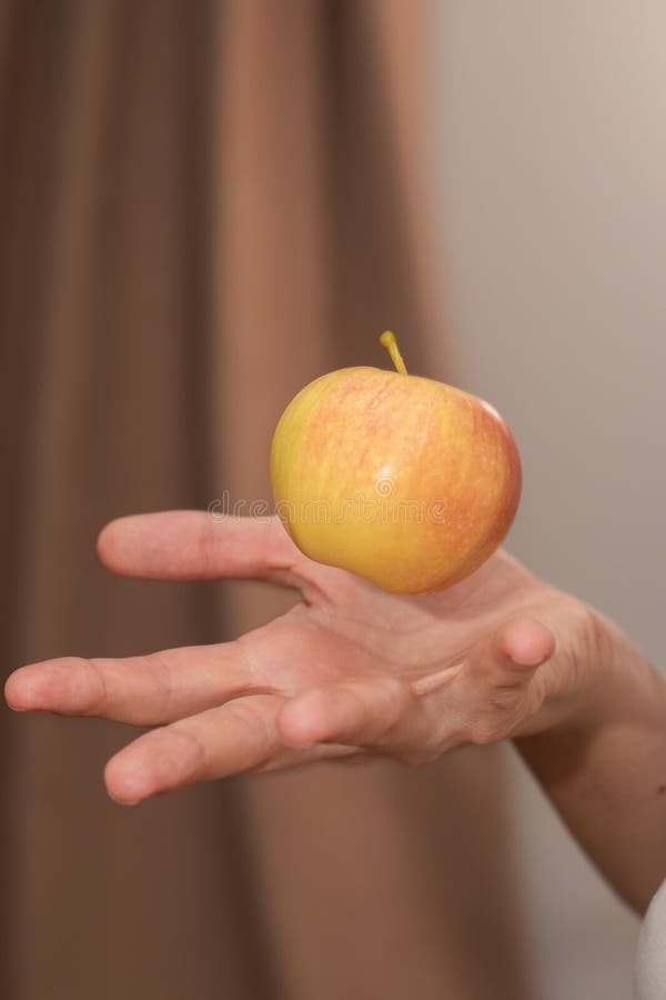 Hand Picking a Fresh Apple. Female Hand Holding Fresh Ripe Apple Stock ...