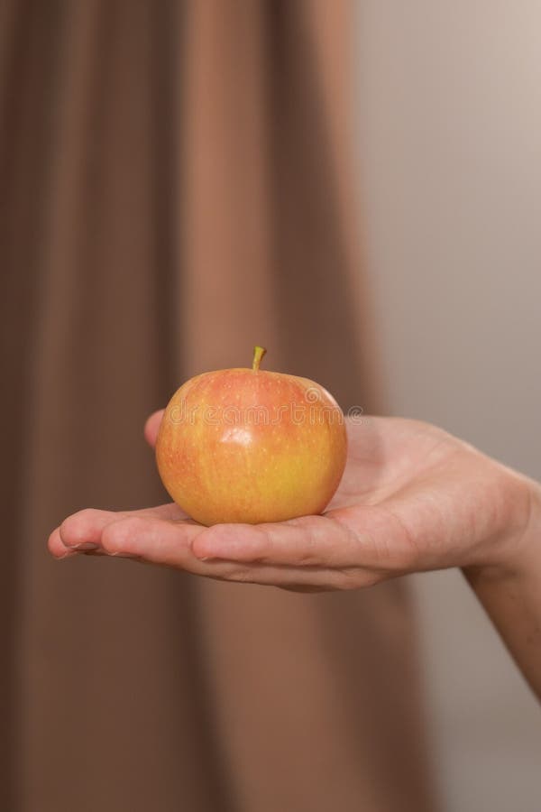 Hand Picking a Fresh Apple. Female Hand Holding Fresh Ripe Apple Stock ...