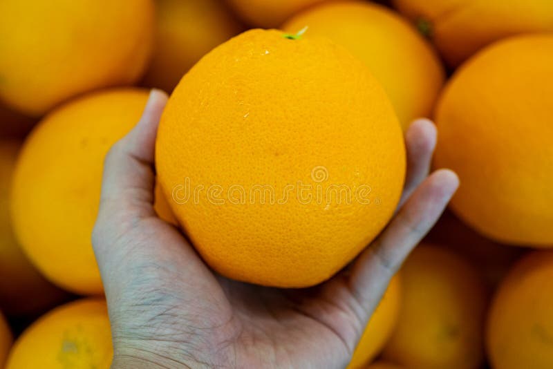 Hand Picking Fresh Orange on Supermarket Store Stock Image - Image of ...
