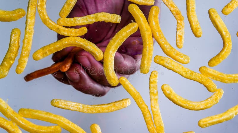Hand Picking Veggie Stick View from Under Table Stock Photo - Image of ...