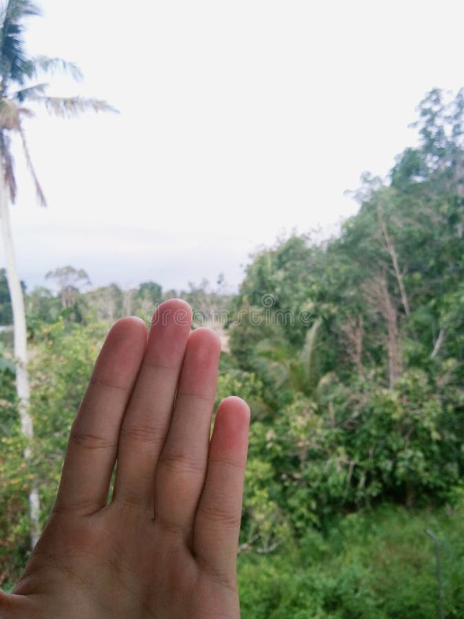 Hand stock image. Image of backstage, myhand, hand, pict - 133075123