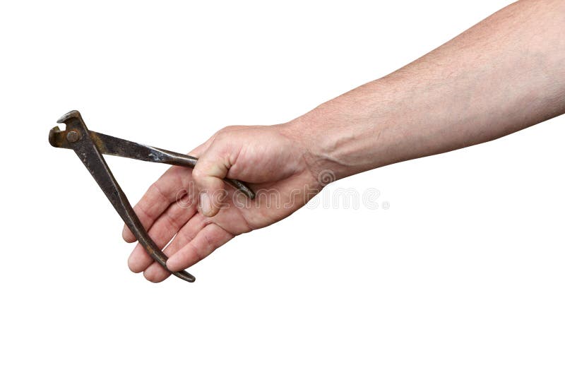 Hand with pincers stock image. Image of pincers, hand - 15522947