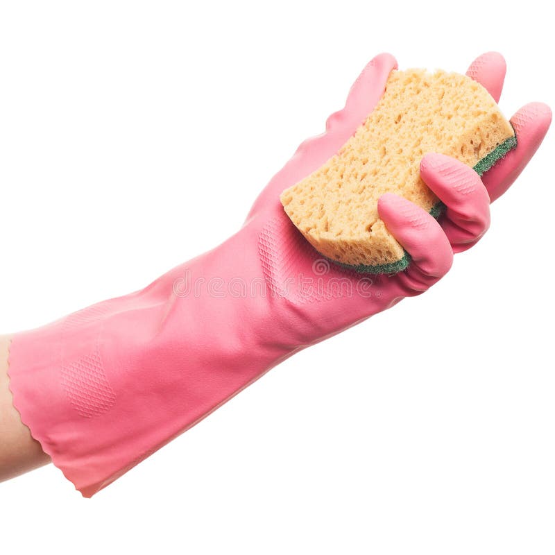 Hand in a Pink Glove Holding Sponge Stock Photo - Image of house ...