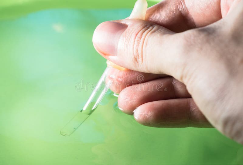 Hand with pipette. stock photo. Image of laboratory, forensic - 33254514