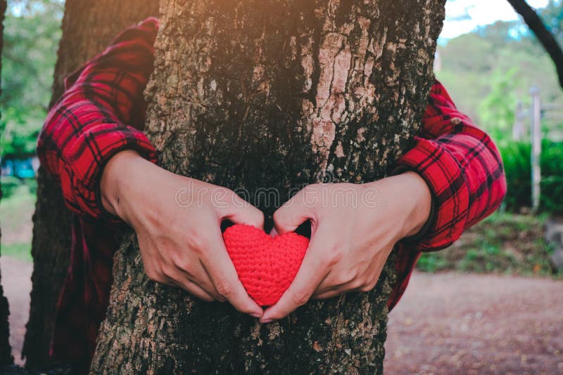 Hug a Big Tree, Symbolizing the Connection between Humans and Nature ...