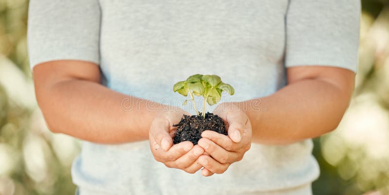 Hand, Plant and Soil with Growth in the Hands of a Woman for ...