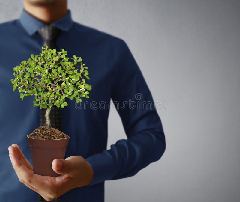 Hand plant stock photo. Image of environment, root, growth - 19766130