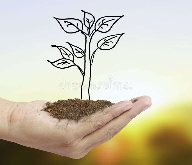 Hand plant ,tree stock illustration. Illustration of nurture - 50022778