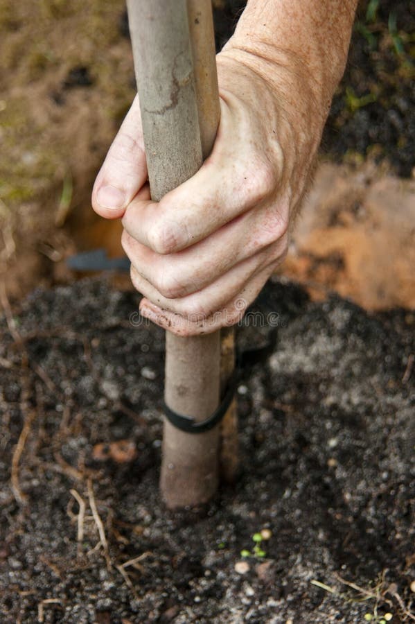 Hand Planting In Farm, Concept As Love And Save World Stock Photo ...