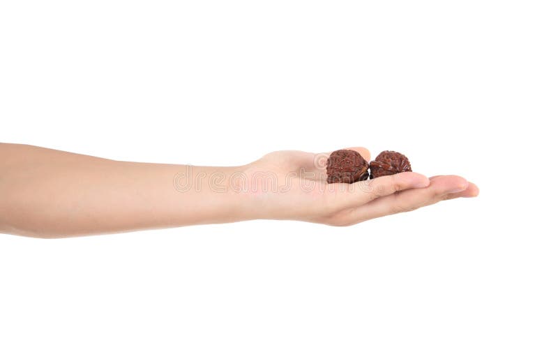 Play walnut stock photo. Image of definition, high, text - 88983038