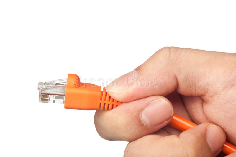 Network cable cut off stock photo. Image of internet, laptop - 1327604