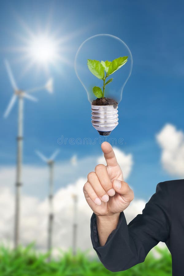Hand Pointing Green Tree in Light Bulb Stock Image - Image of grass ...