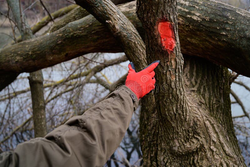 Red Mark Points the Temple of Apollo in Corinth Stock Photo - Image of ...