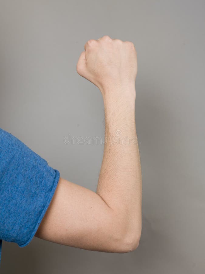 Hand pose stock photo. Image of isolated, generic, normal - 73513948