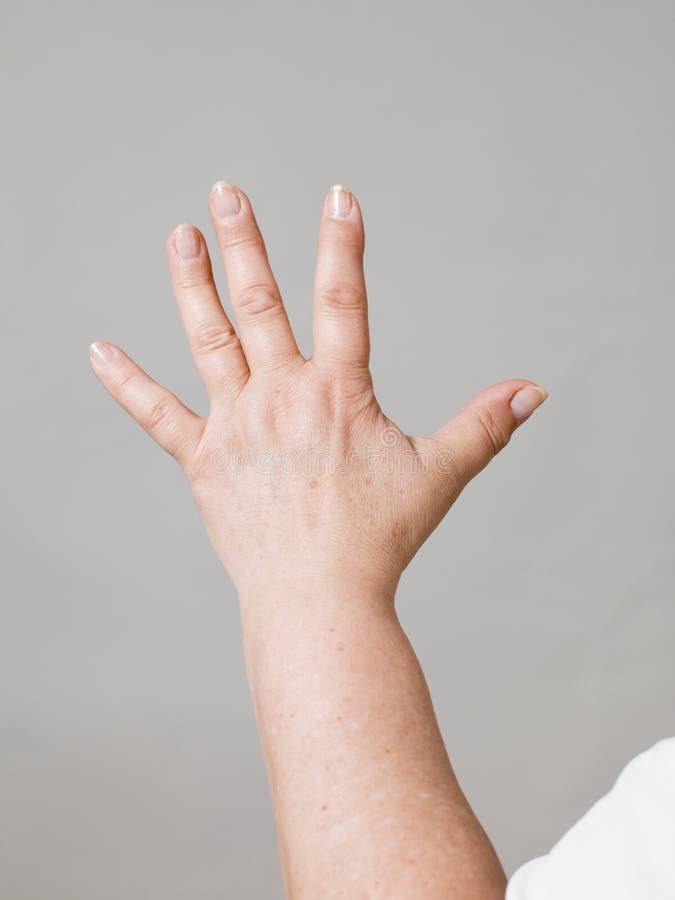 Hand pose stock image. Image of beauty, hand, cutout - 73513917