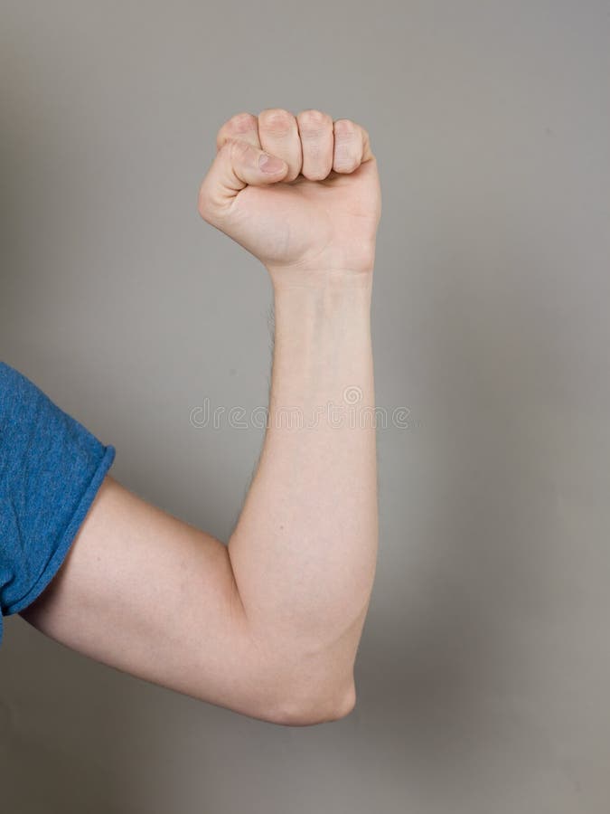 Hand pose stock photo. Image of cutout, beautiful, human - 73513928