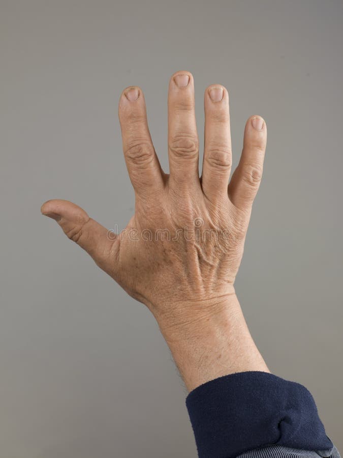 Hand pose stock image. Image of female, nails, fingers - 73513935