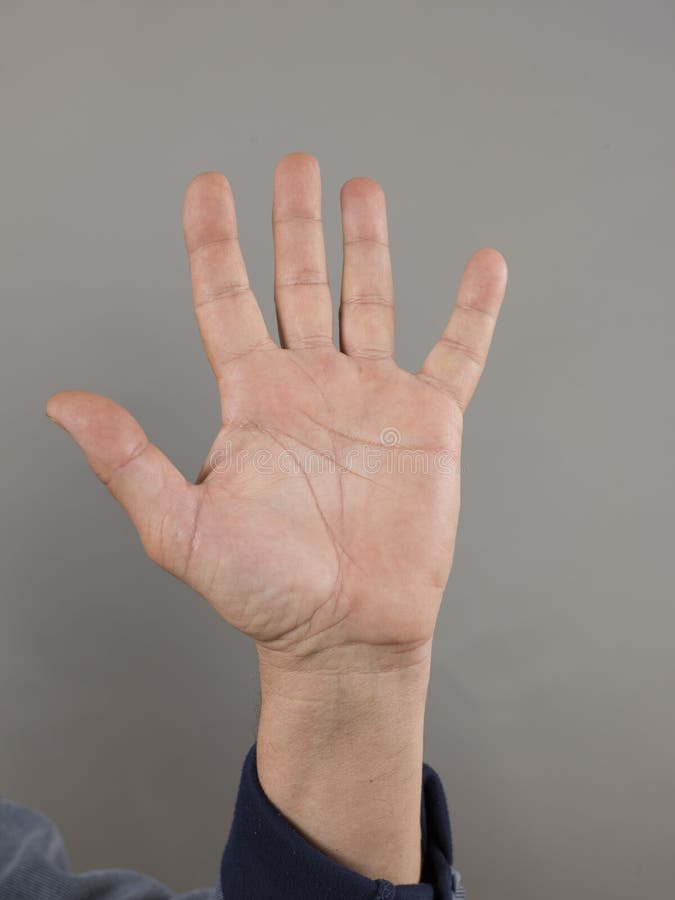 Hand pose stock image. Image of five, hand, closeup, hair - 73513963