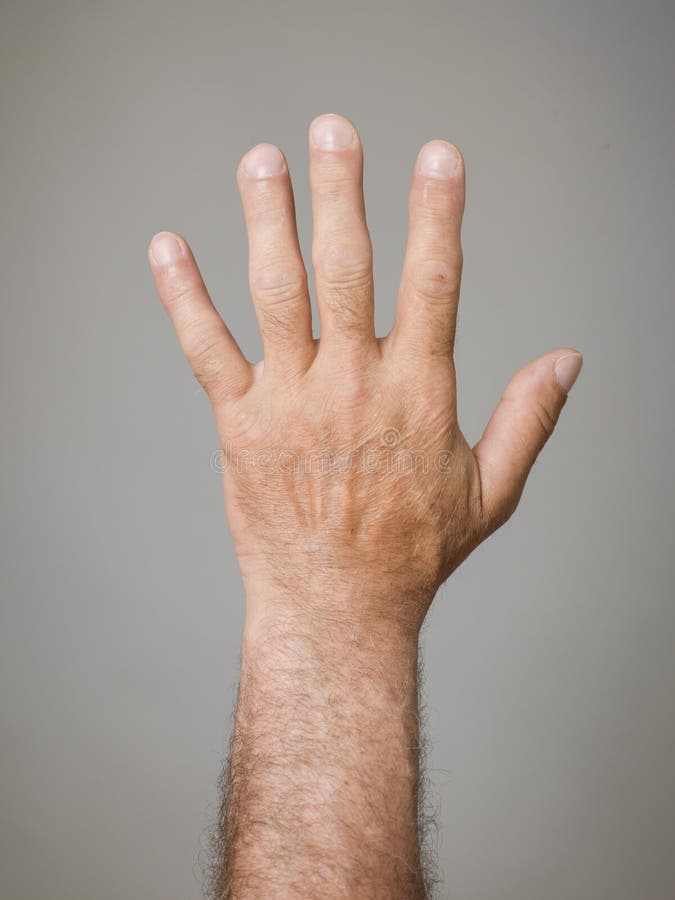 Hand pose stock image. Image of five, hand, closeup, hair - 73513963