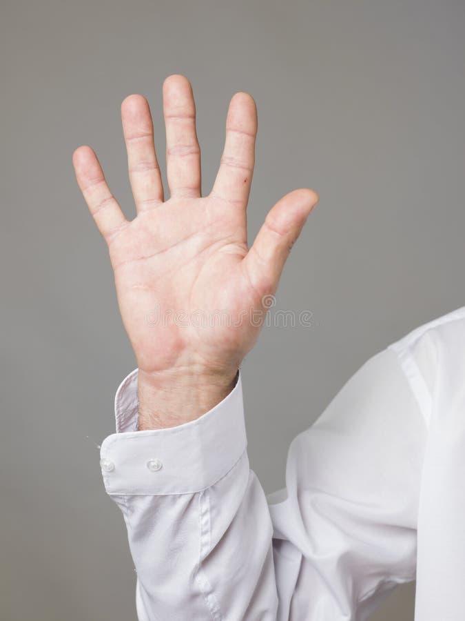 Hand pose stock image. Image of gesture, fingers, opened - 73513973