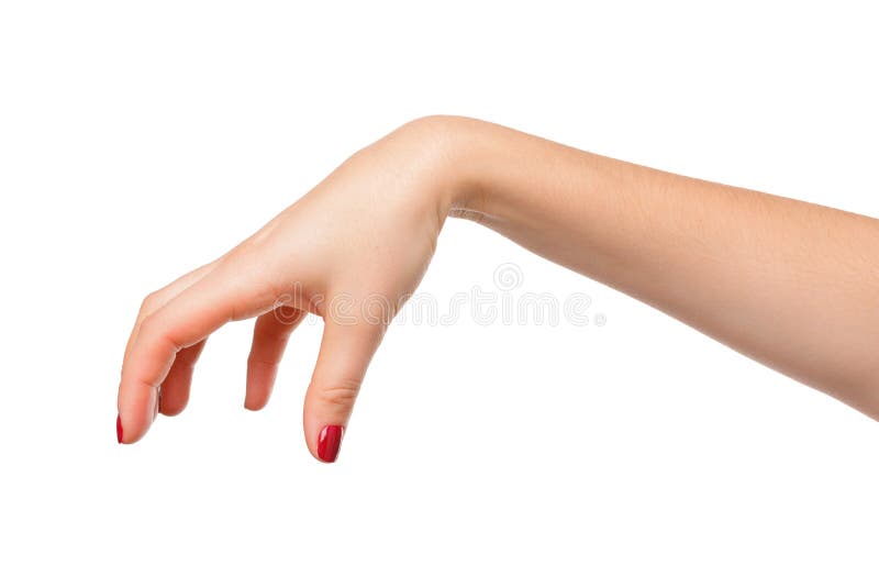 Hand Pose Like Picking Something Isolated on White Stock Image - Image ...