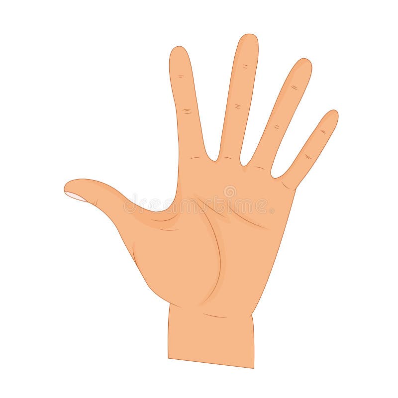 Hand in Pose. Male or Female Hand in Cartoon Style Stock Illustration ...